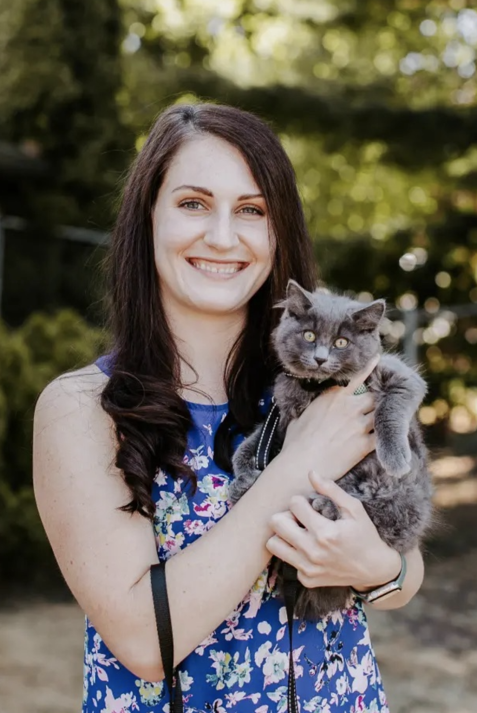 Burien, WA 98168 Veterinarians | Highline Veterinary Hospital