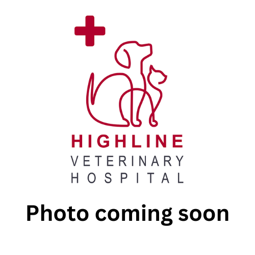 Burien, WA 98168 Veterinarians - Highline Veterinary Hospital